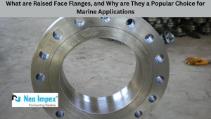What are Raised Face Flange, and Why are They a Popular Choice