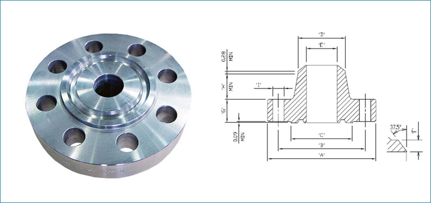 Ring Type Joint Flanges SS Ring Type Joint Flanges Stainless Steel